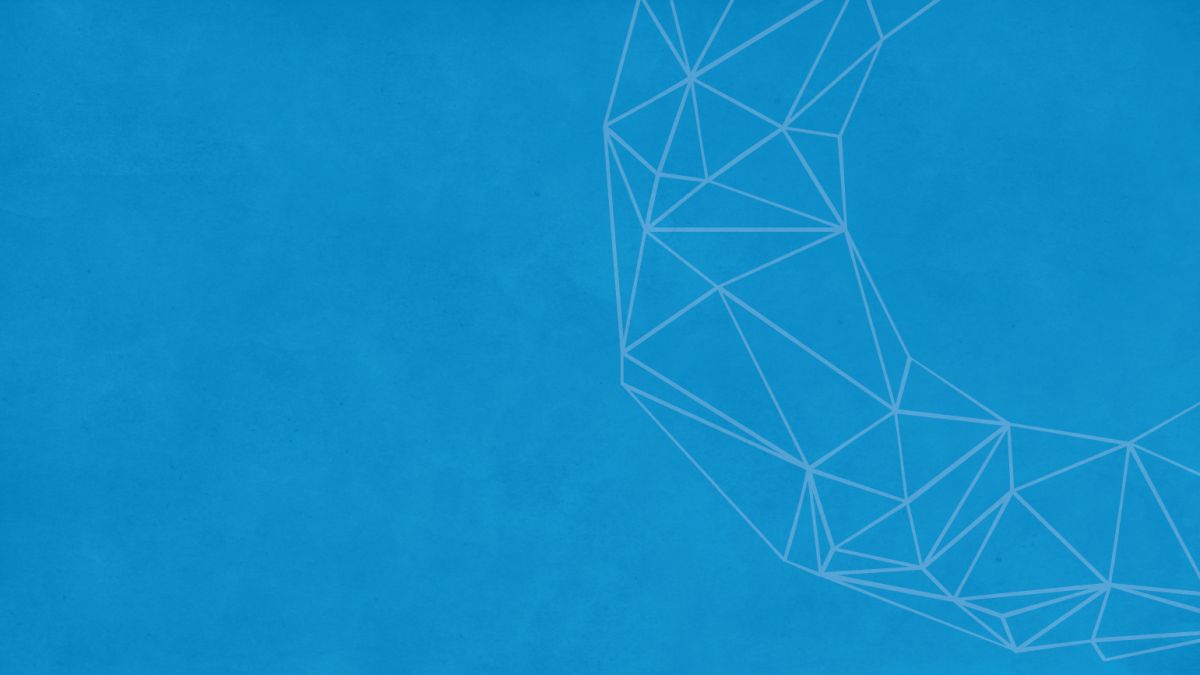 Banner_celeste_tedic 1 – TEDIC