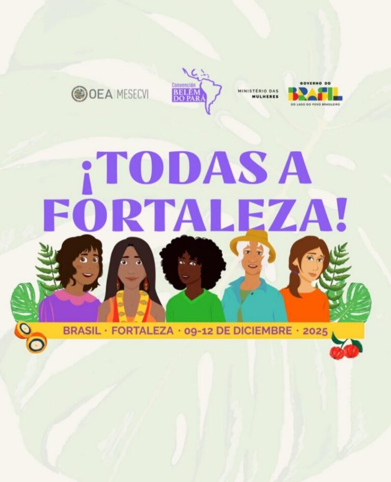 TEDIC en la X Conferencia de Estados Parte del MESECVI – TEDIC